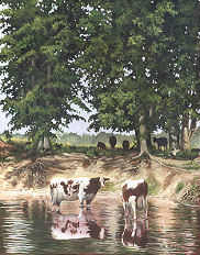 The New Art of Barry D. Powell