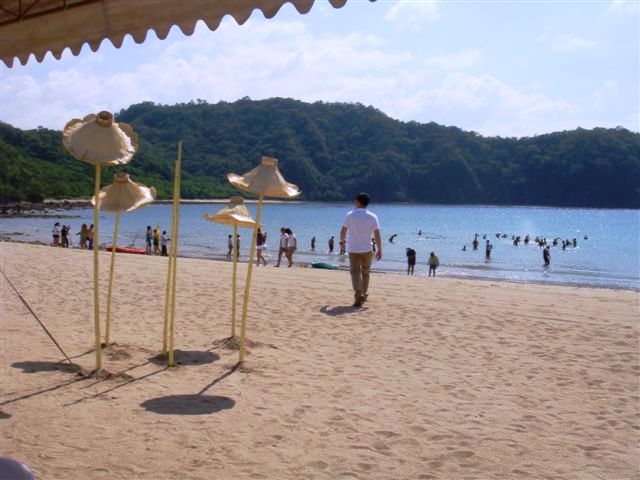 Hamilo Coast - The Beach