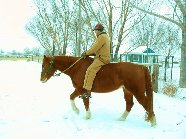 Warmrock Ranch - Kim Lessor and Carl Baker